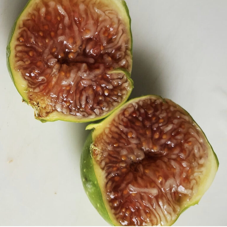 Looking for the Sweetest Fig? Fig Lovers Listen Up!