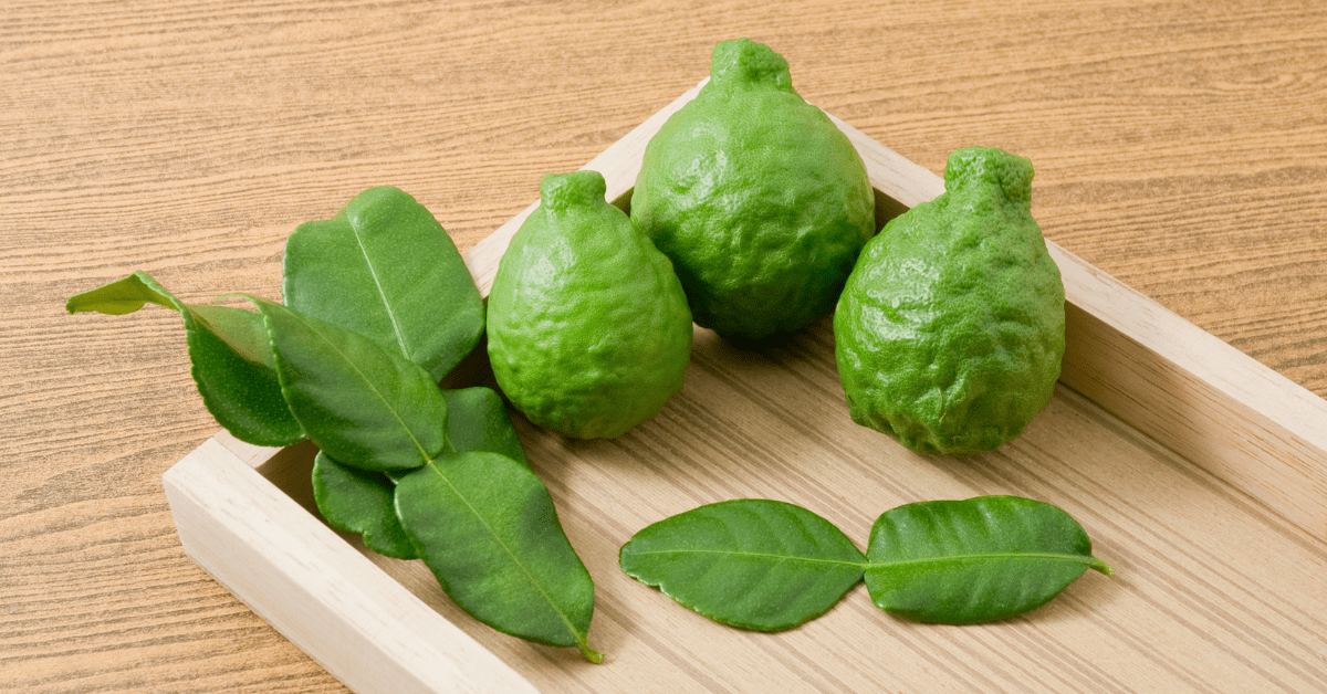 Thai Spices: Everything You Need to Know